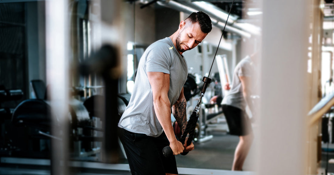 6 Key Muscle Groups to Target in a Strength Program | Sunny Health ...