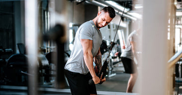 6 Key Muscle Groups to Target in a Strength Program | Sunny Health ...