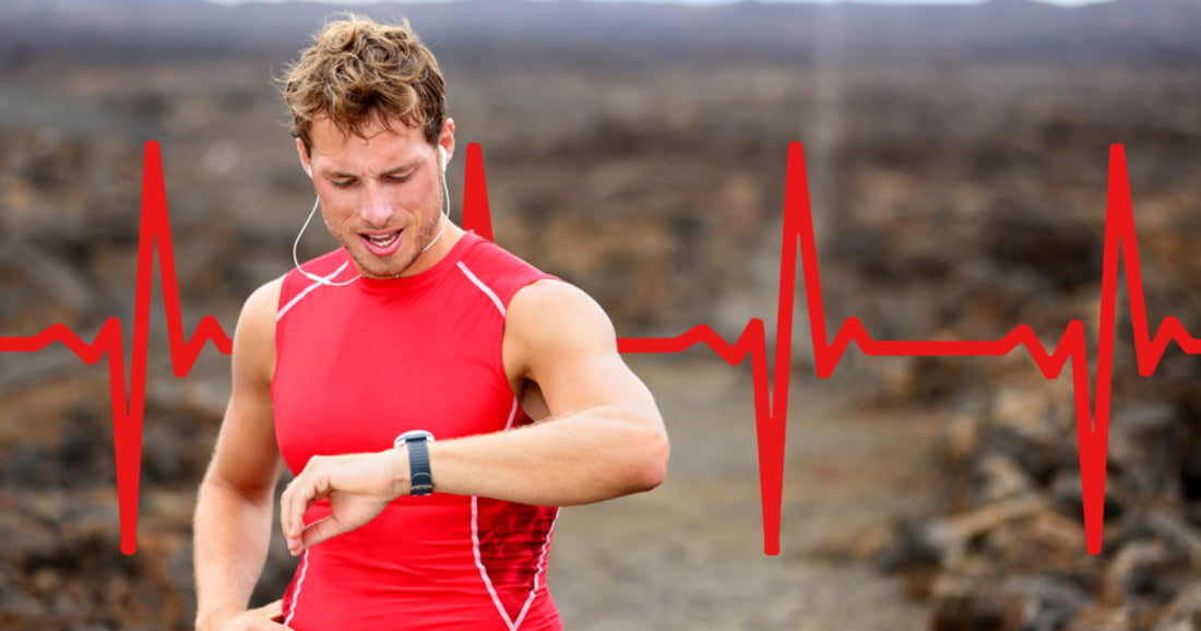 What You Need to Know About Heart Rate Training | Sunny Health & Fitness
