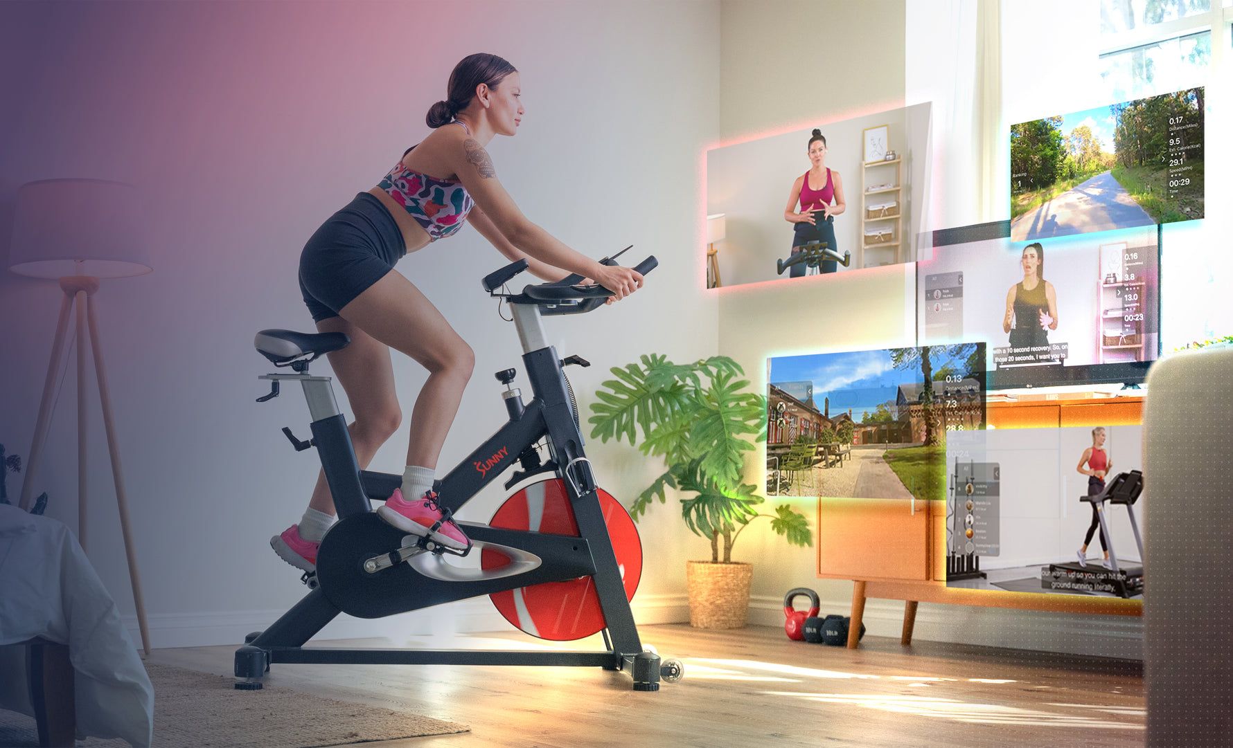 Recumbent Bike w/ Soft Cushion Seat | Sunny Sit Down bike | Sunny ...