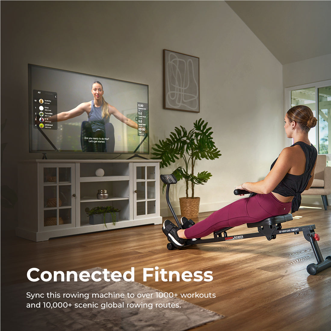 Smart Compact Hydraulic Rowing Machine with 12 Levels Hydraulic ...