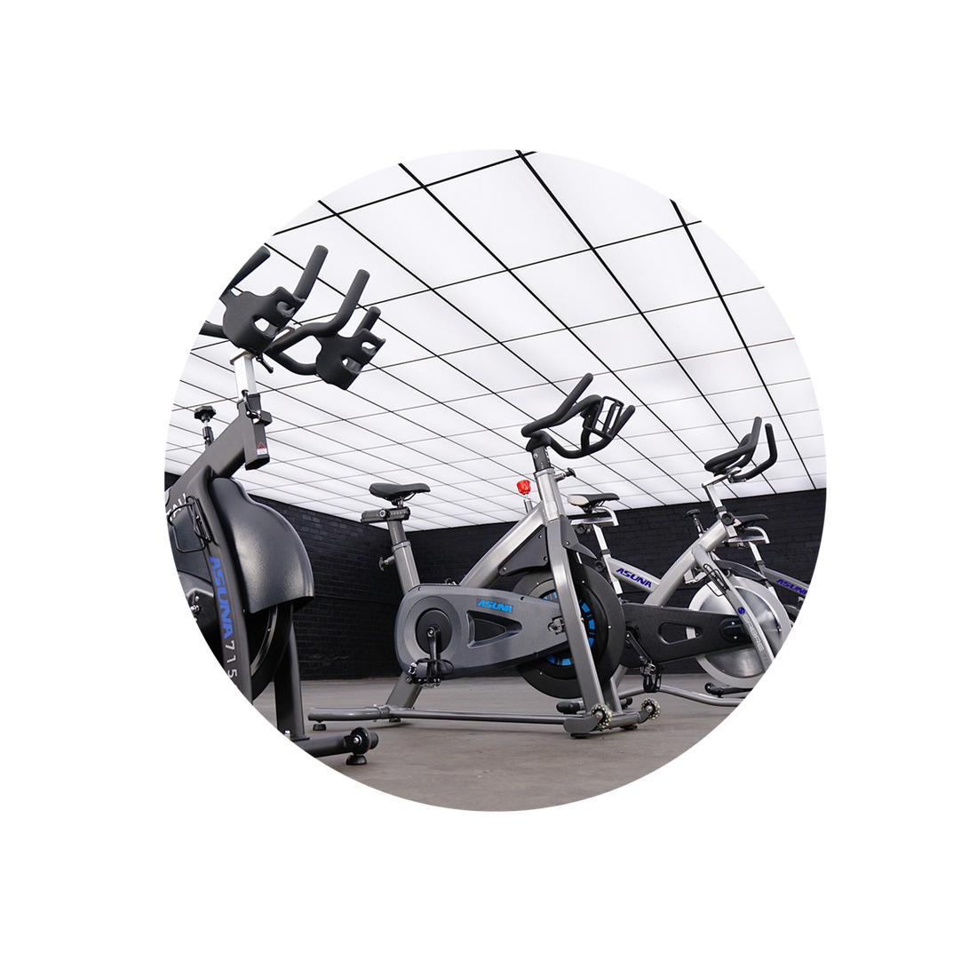 About Us | Sunny Health & Fitness | Create the Ultimate Home Gym ...