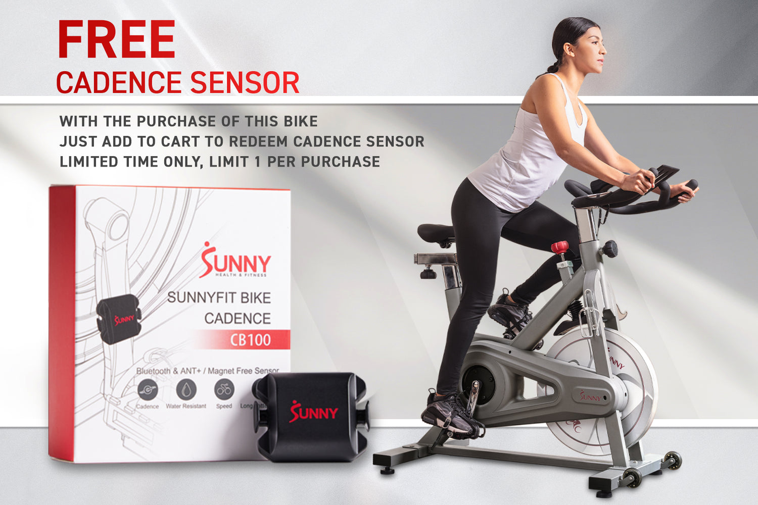 Fitness Pro II Stationary Indoor Cycling Bike