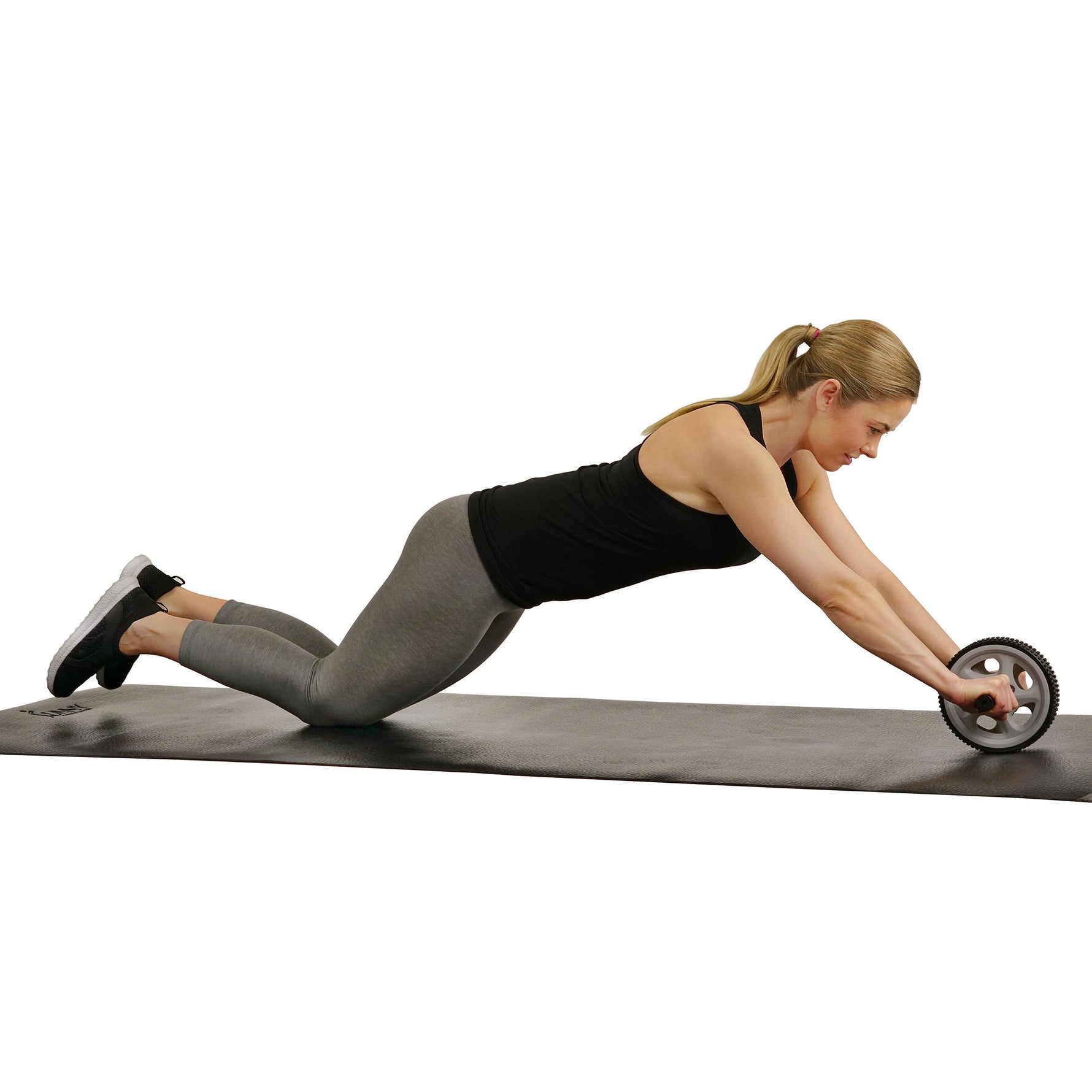 Ab Roller Exercise Wheel | Sunny Health & Fitness | Sunny Health and ...