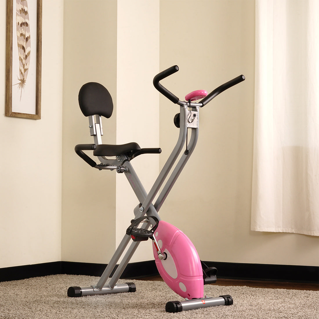 Folding Recumbent Exercise Bike | Sunny Health & Fitness | Sunny Health ...
