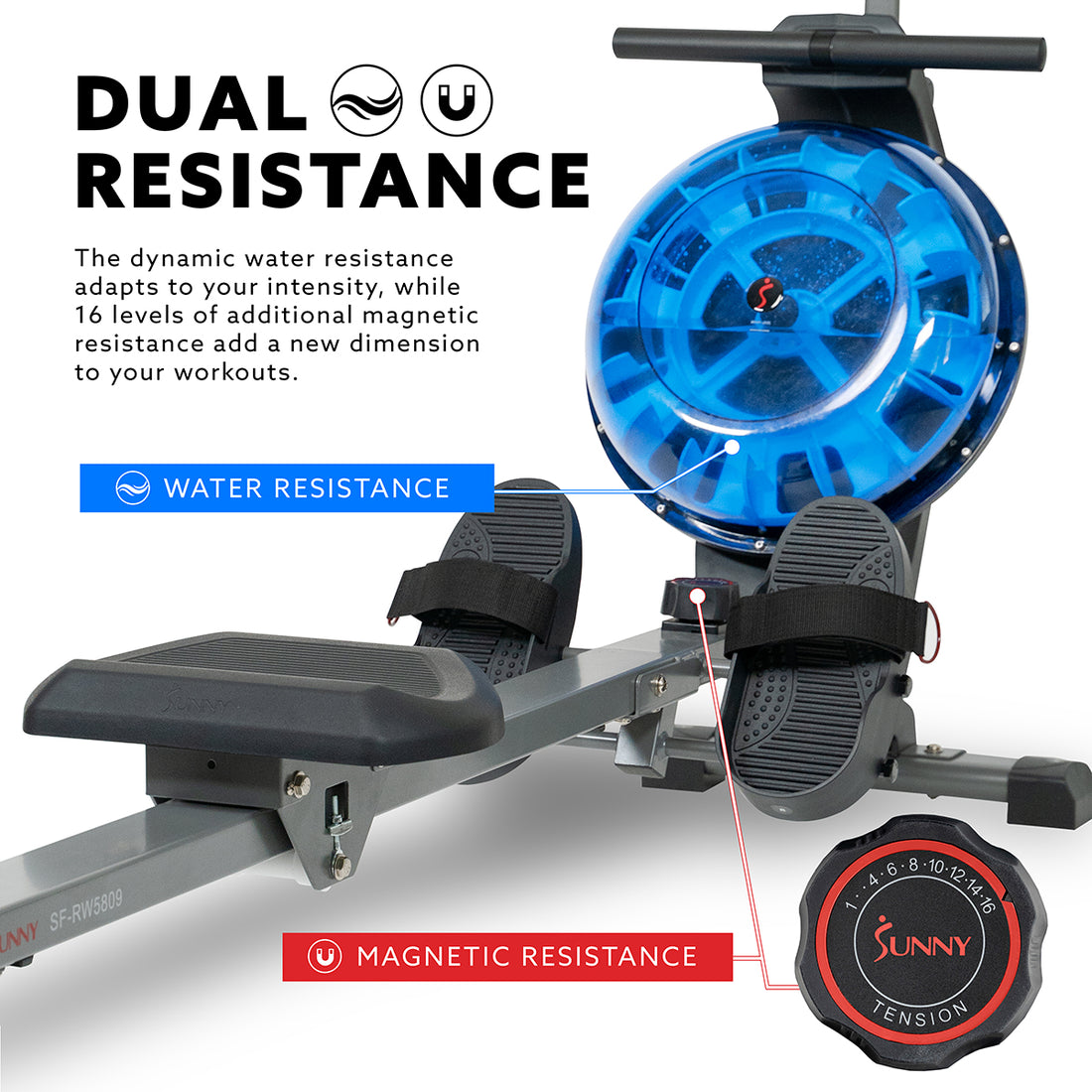 Hydro+ Dual Resistance Rower Magnetic Water Rowing Machine | Sunny ...